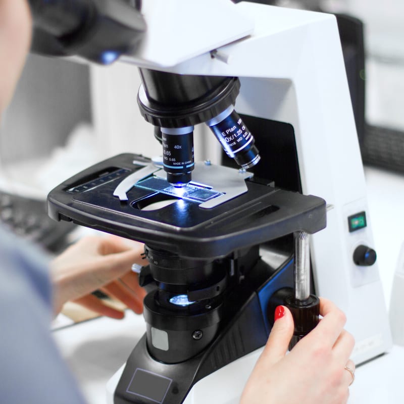 Veterinary Diagnostic & Laboratory Services in Nashua Veterinary Diagnostic & Laboratory Services in Nashua